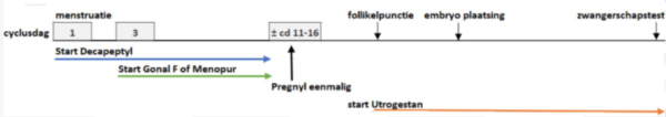 In Vitro Fertilisatie (IVF) en ICSI - Tergooi MC