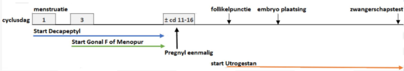 In Vitro Fertilisatie (IVF) en ICSI - Tergooi MC