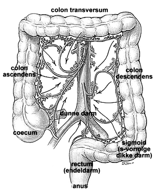 Behandelwijzer Coloncare A - Tergooi MC